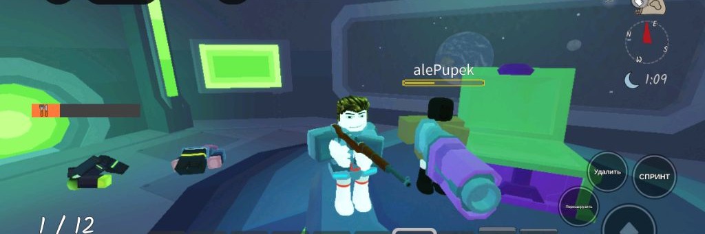 Братья Порошины