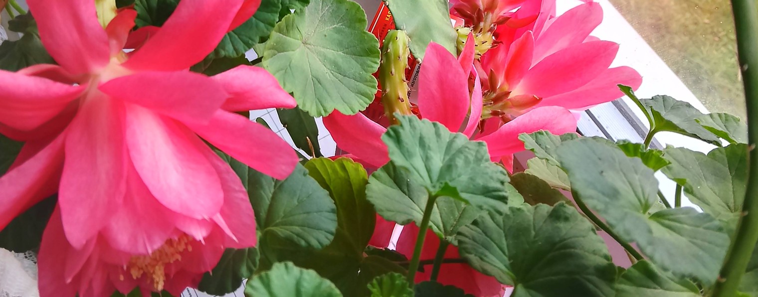 Татьяна К.  69781548😘