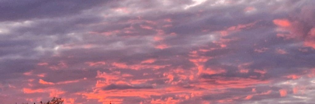 Радомира Райз