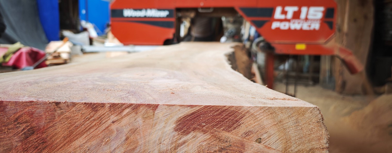 Торговец красным деревом Николай Аксенов