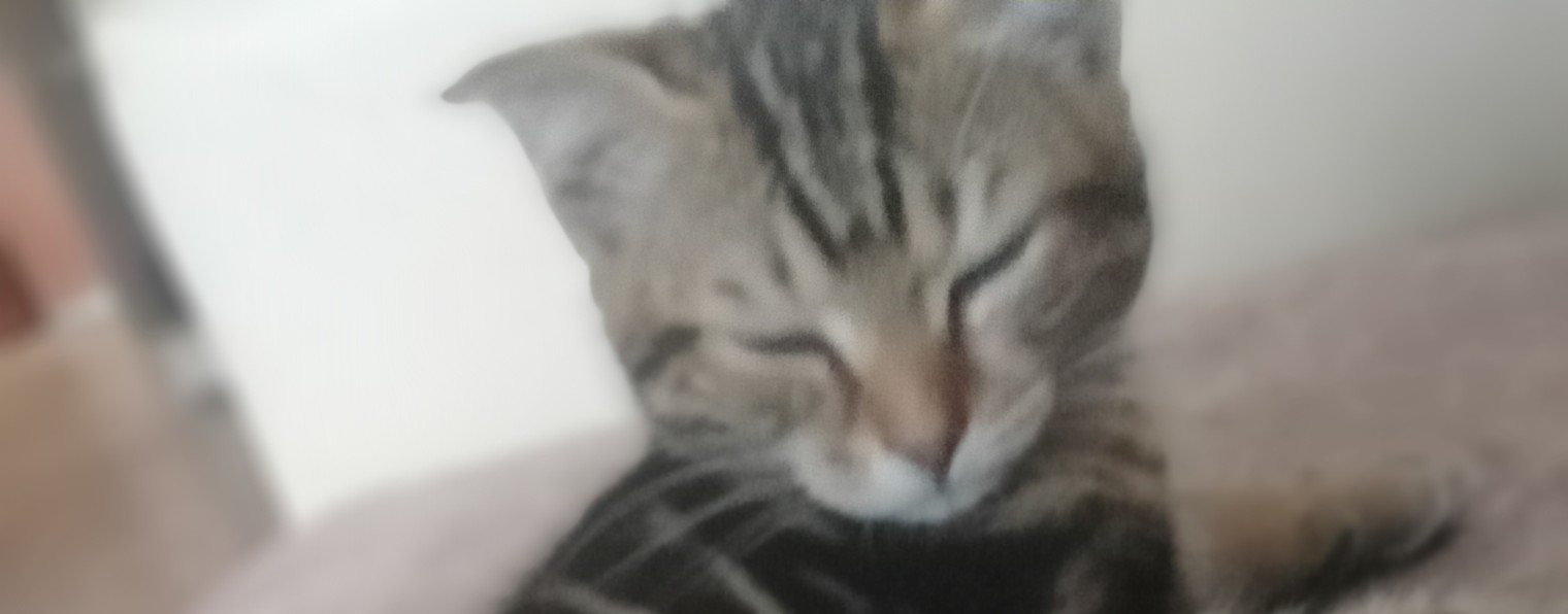 им. ренгоку ф. кёджоро