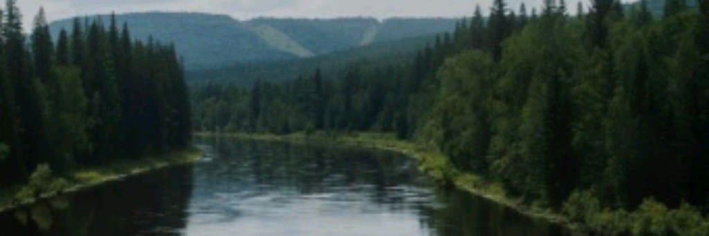 По Следам Тигра