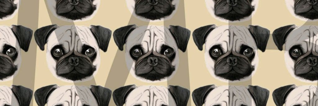 Mr.Pug