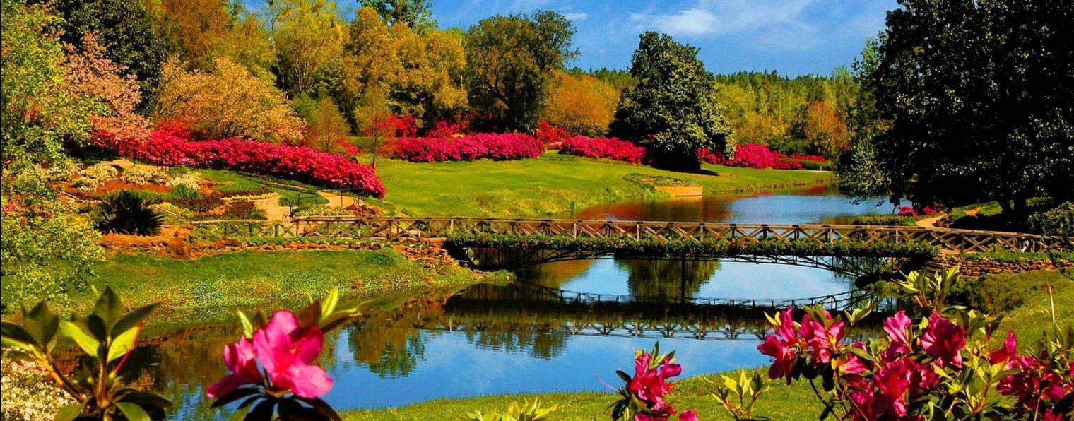 Символ Рода