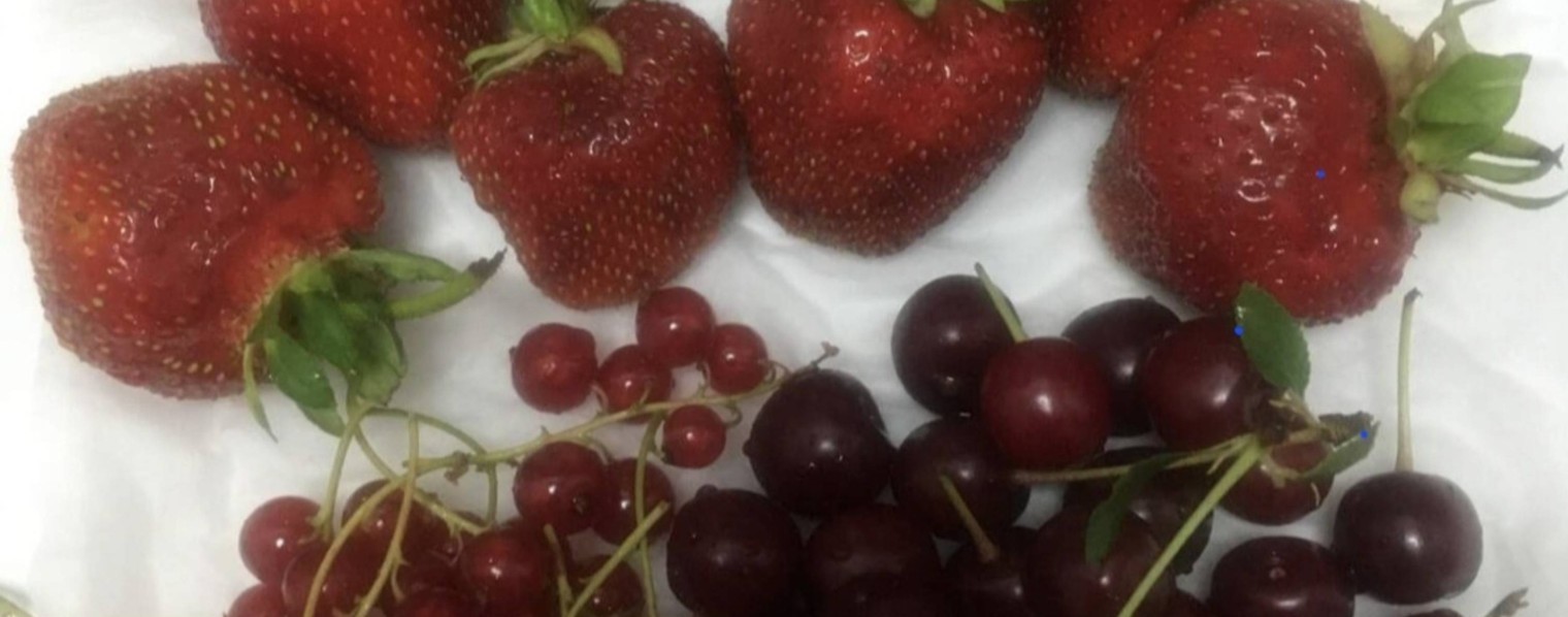 Дневник дачницы Анны.