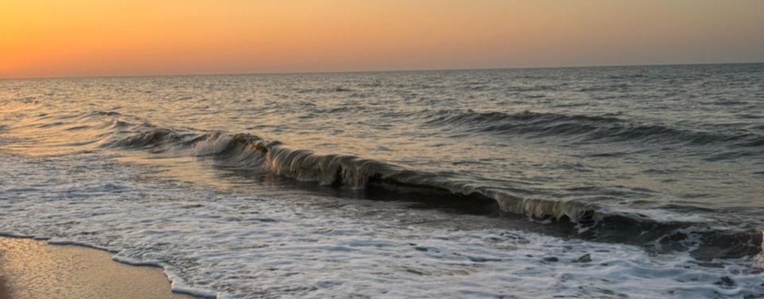 Жизнь прекрасна