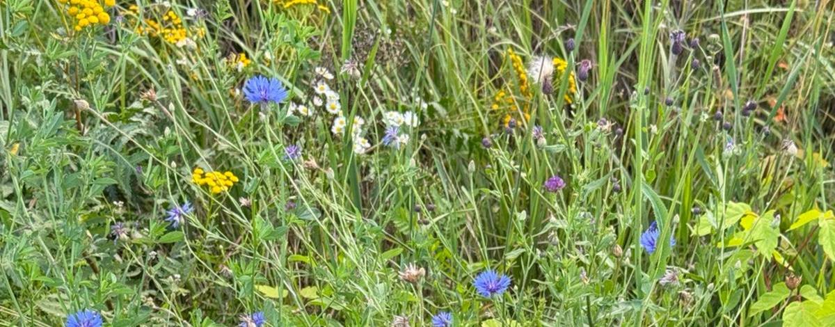 Татьяна Владимировна "По секрету всему Свету!"