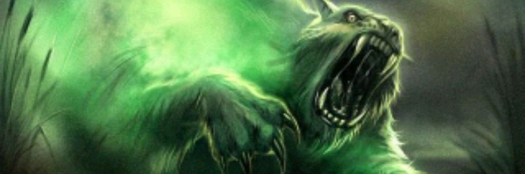 Артём Котёнок