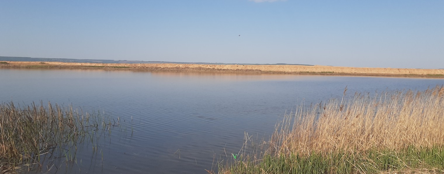 С вами Саша — IT, авто и рыбалка.