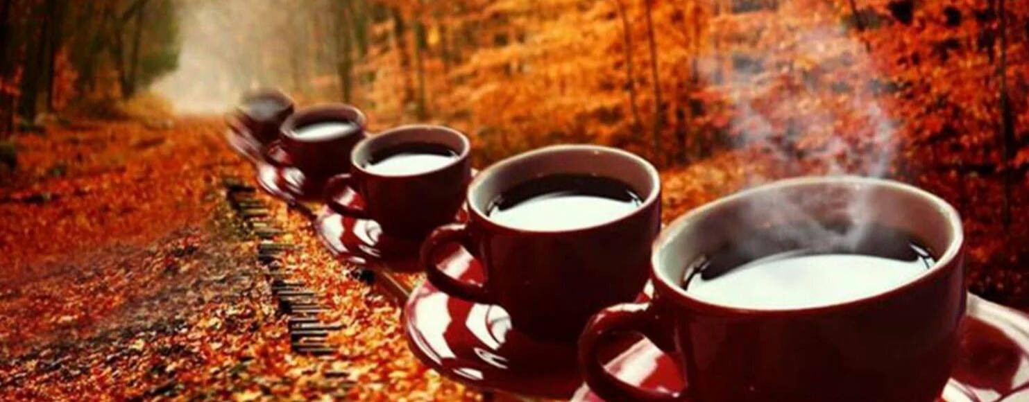 Галина Камелия