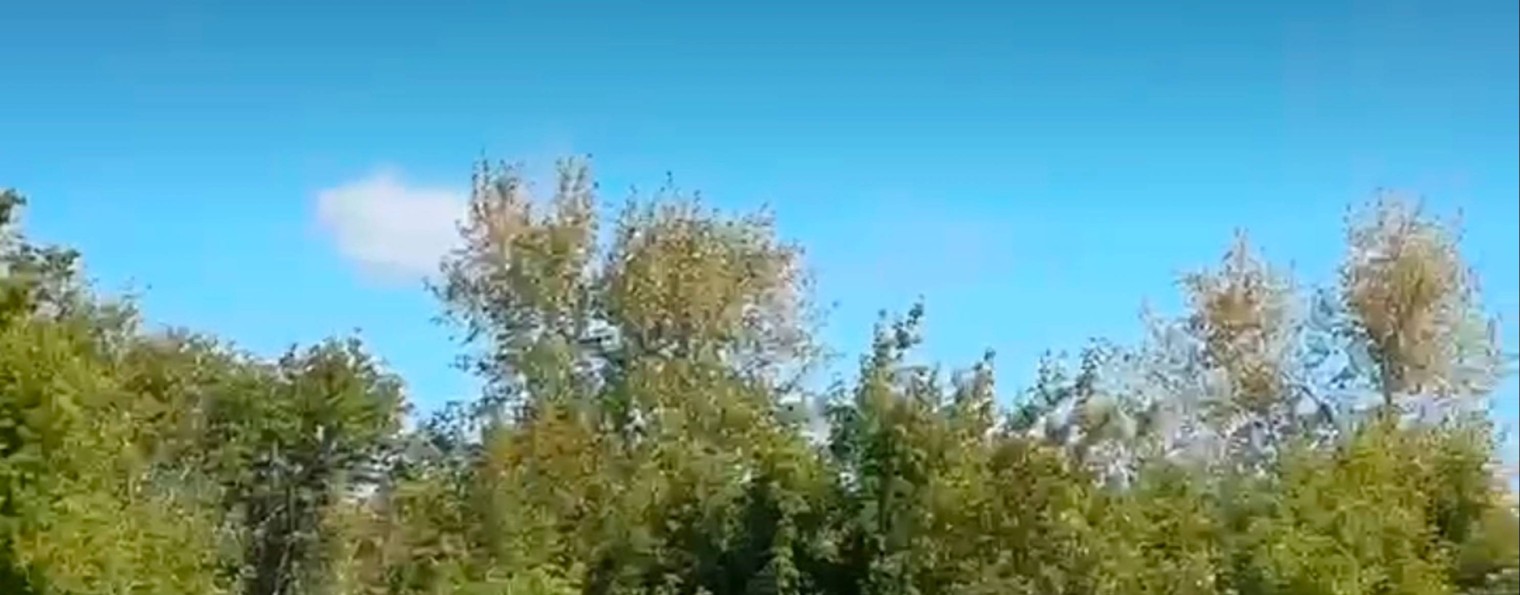 Тамара - одежда на заказ!