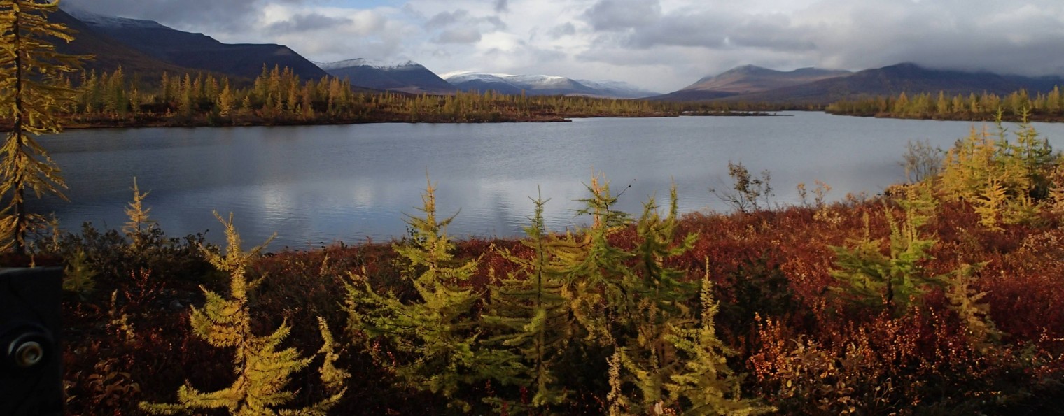 Роман Норильск