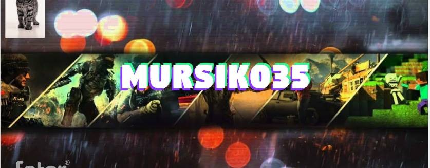 Mursik035