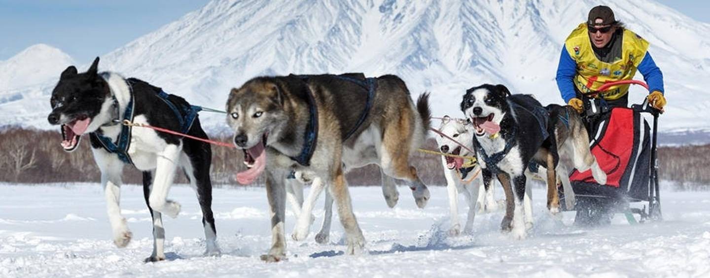 Клуб ярких впечатлений Северный