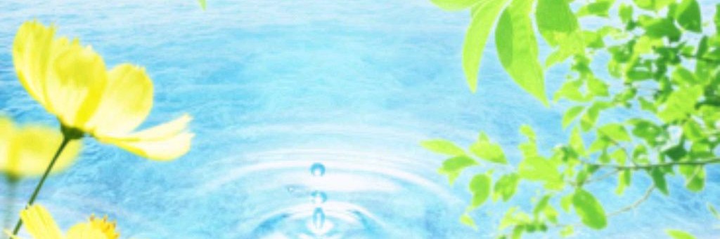 АЛИСКО🍏🍀