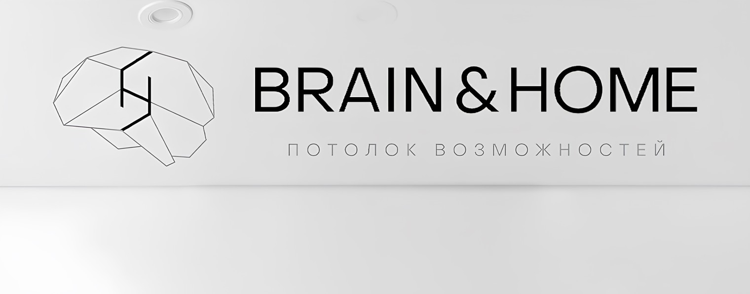 Brain&Home. Потолок возможностей