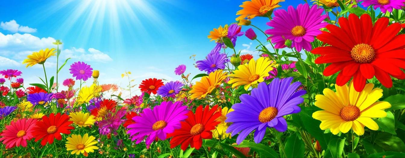 Волшебные поздравления