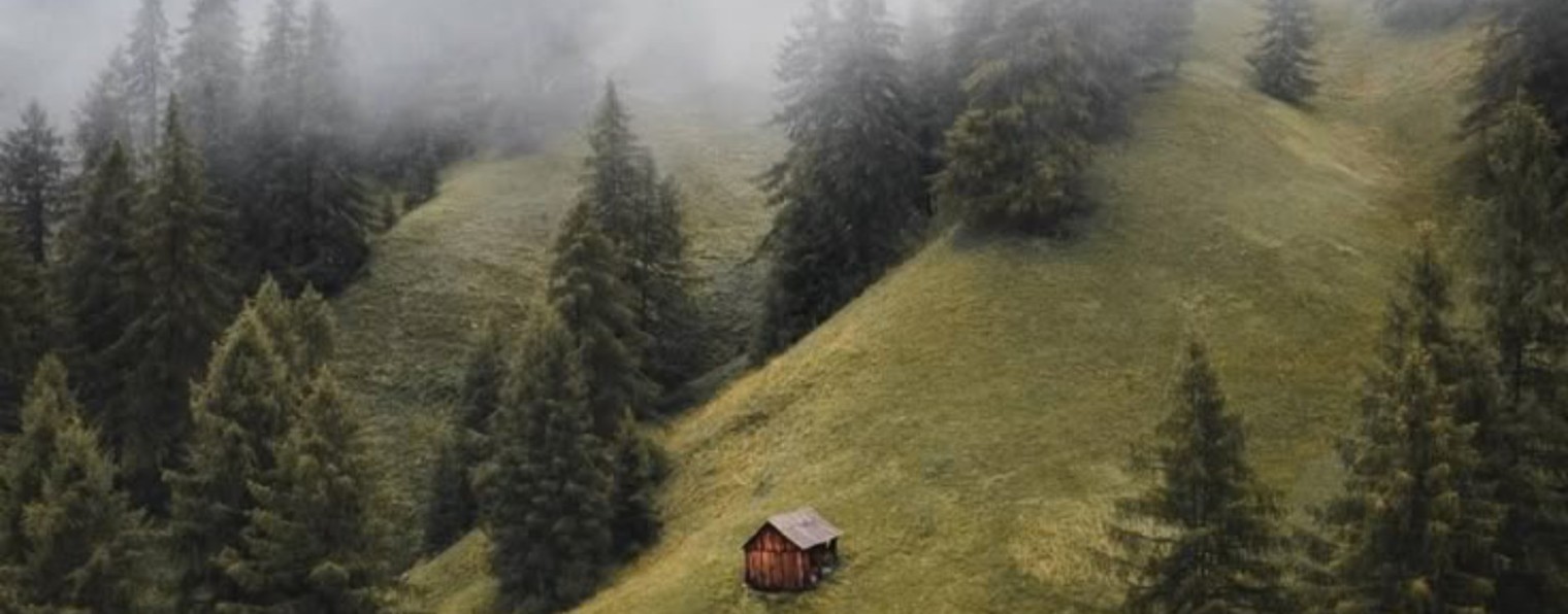 Натали | Ведическая астрология