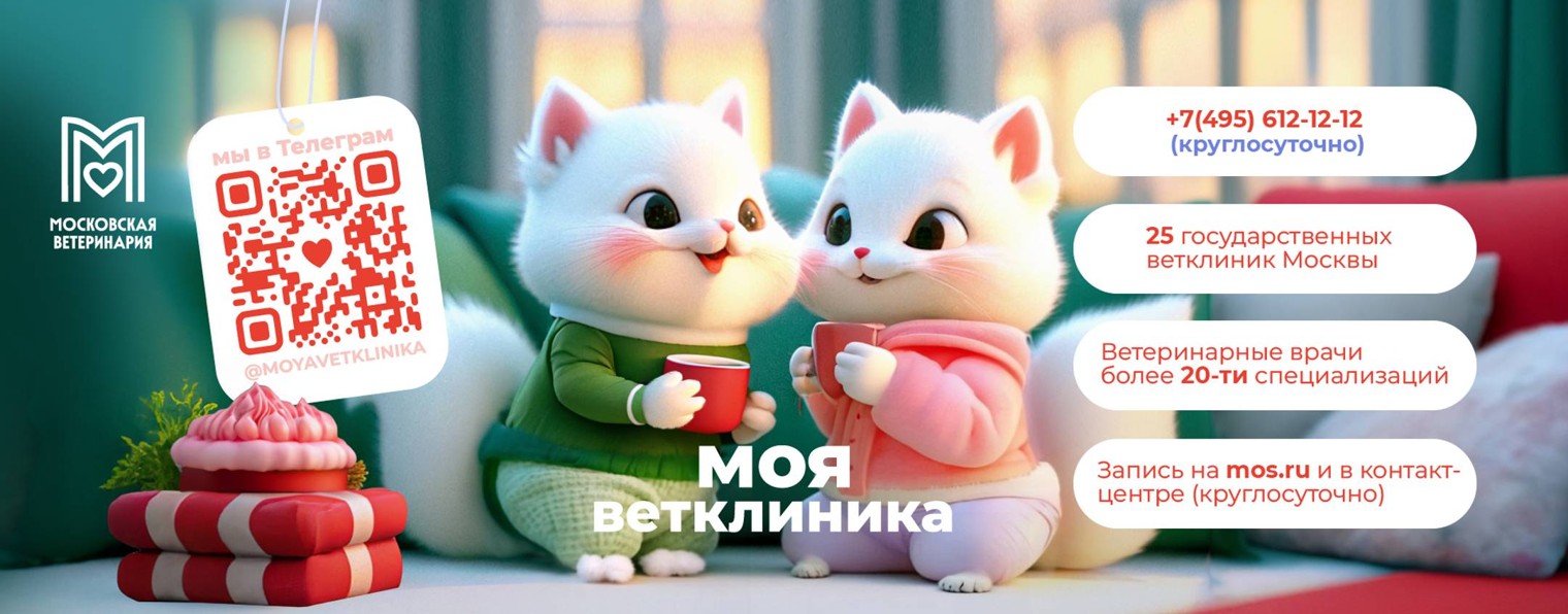 Моя Ветклиника