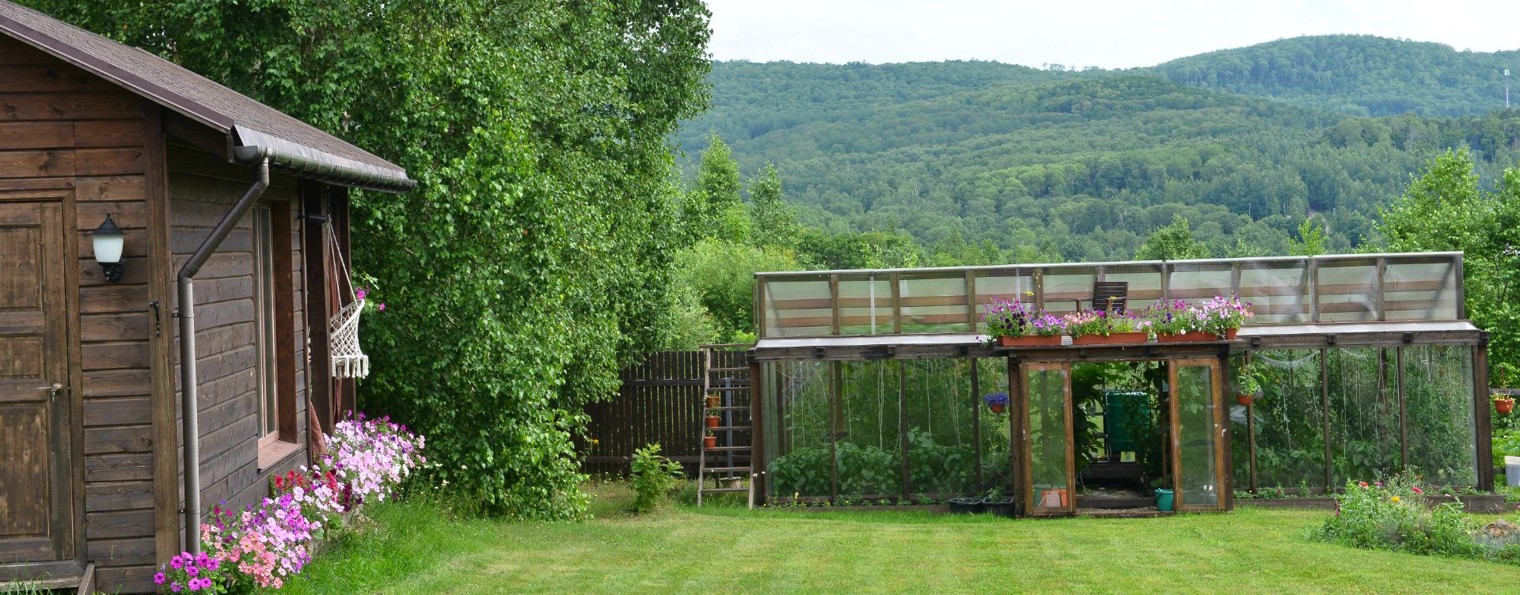 Дача: отдых и творчество