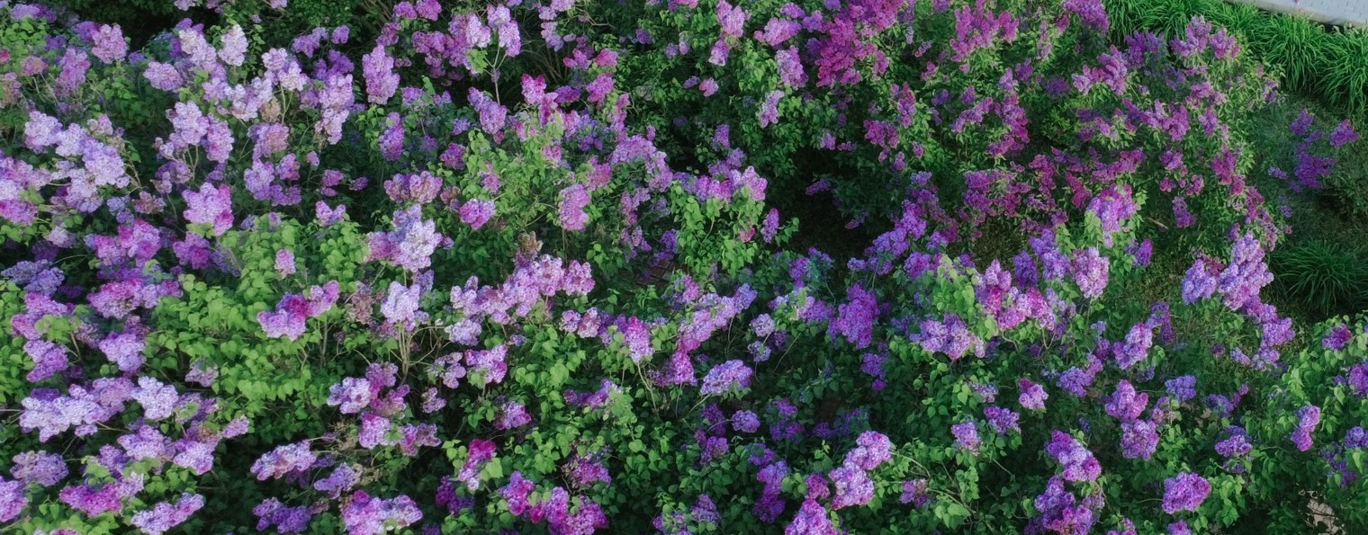 Тематический видеоархив МГК