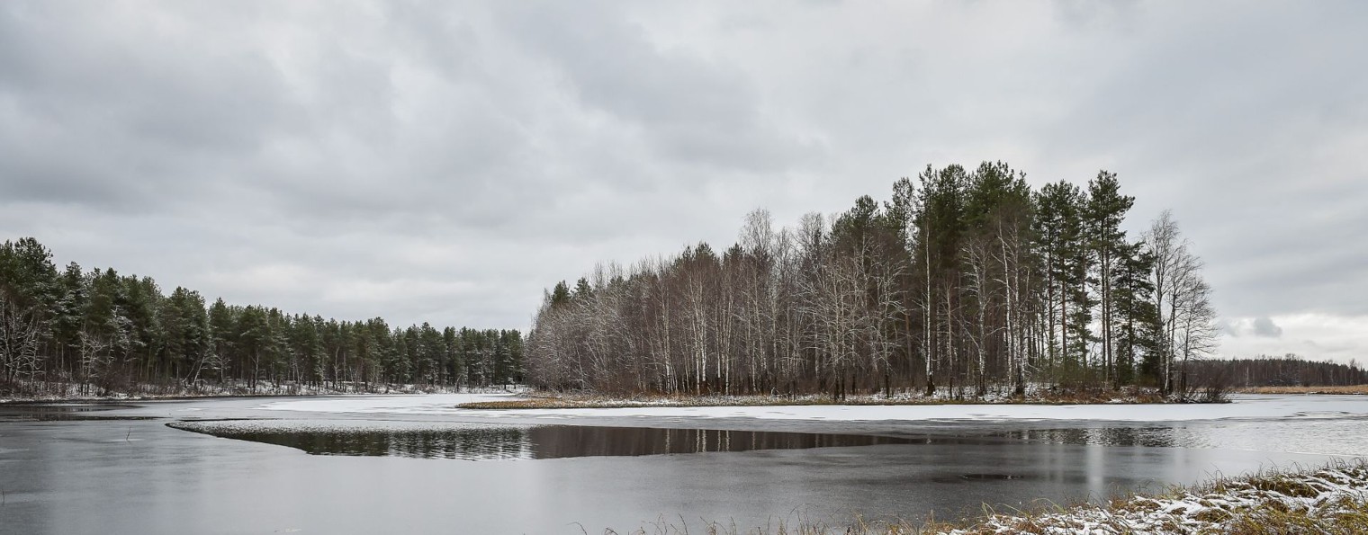 Рыбалка Удалась