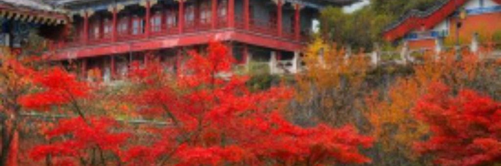 Китайский мукбанг канал