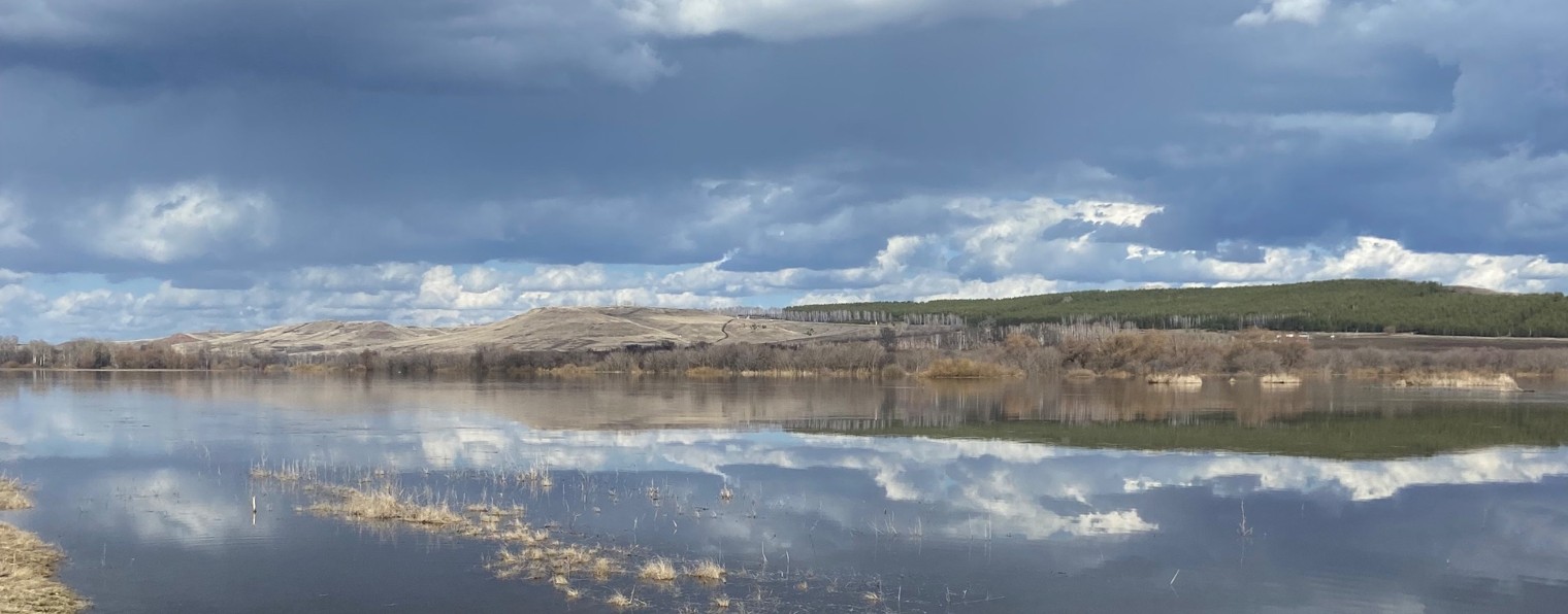 Гараев Фидан