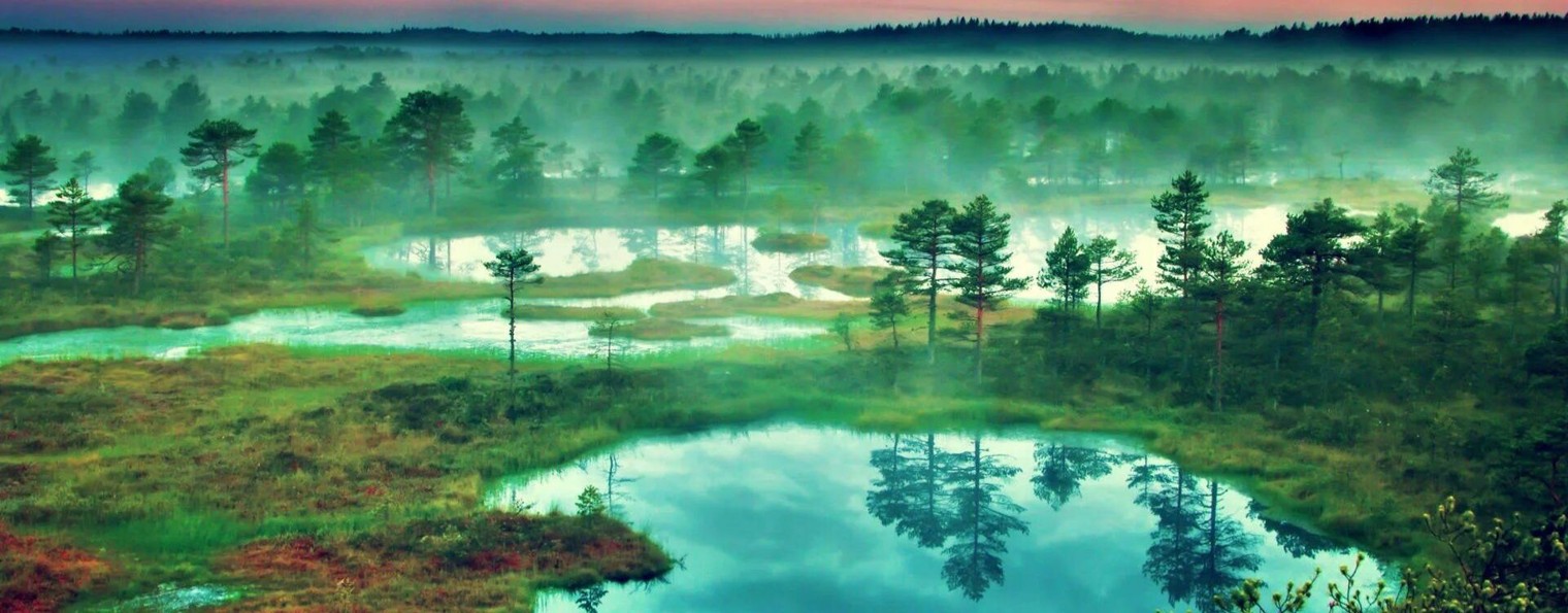 Багира. Мания Величия.