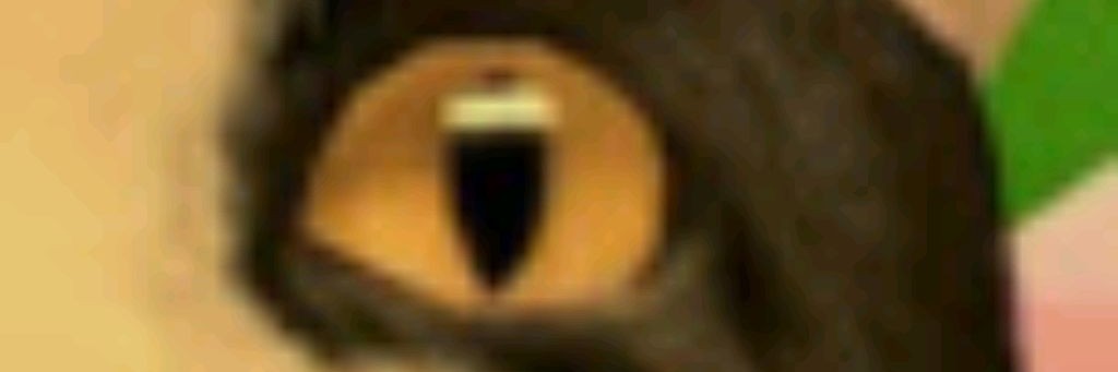 『•_•』₽€йси КВ『•_•』(🔴🟦🔶️🎀) Рысье П○ле