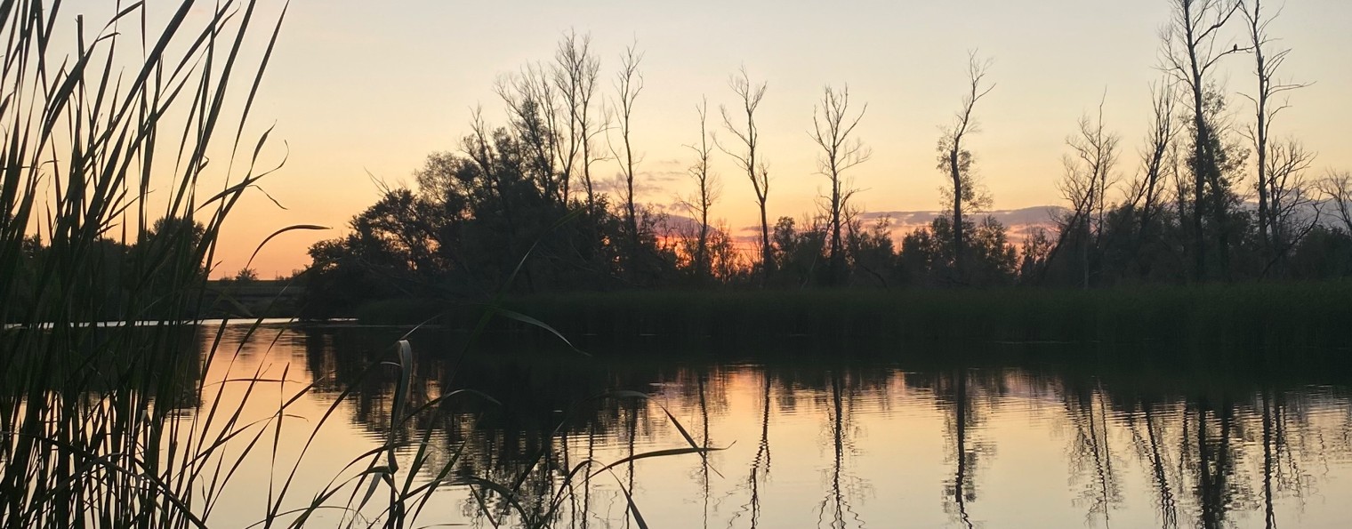 Иван Гальцов