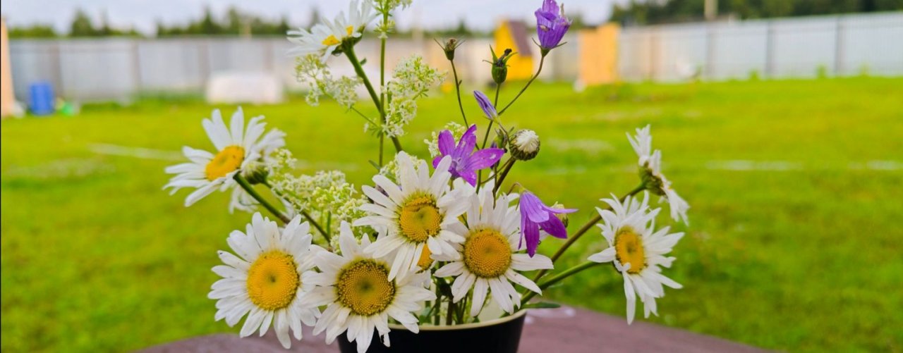 Дорогой дневник...