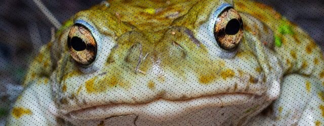 Знак качества