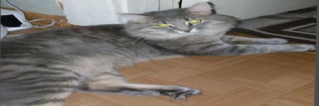 Самара Матвей