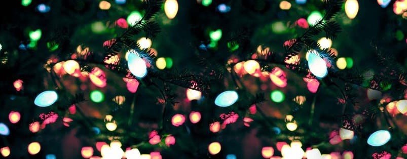 Птица Гамаюн