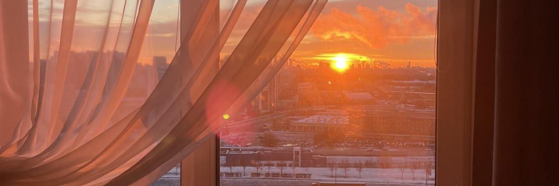 Светлана Кочеткова