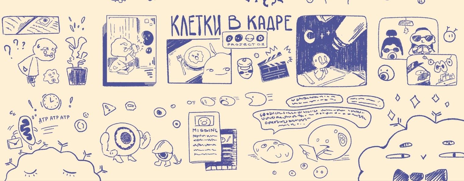 Клетки в кадре