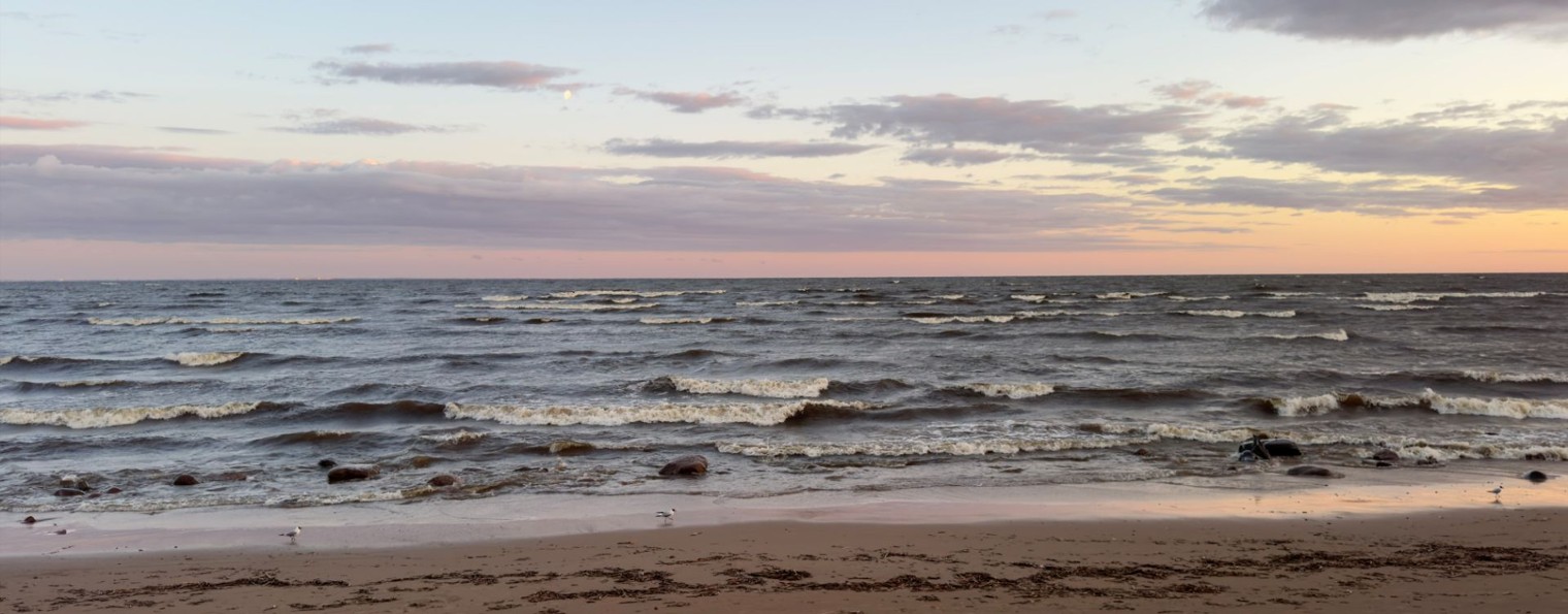 Рыбалка с Джонни