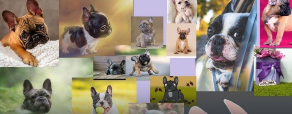 ДОЛЕЧКА И БРЮЛЕЧКА