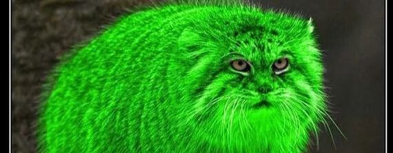 Ру Туб- диспанцер! EBUTUR