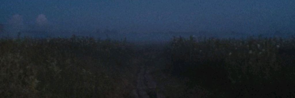 ♡Алиса и Автор☆