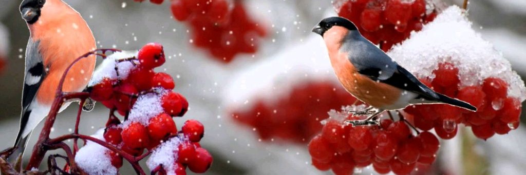 КАНАЛ ЛЮДМИЛЫ