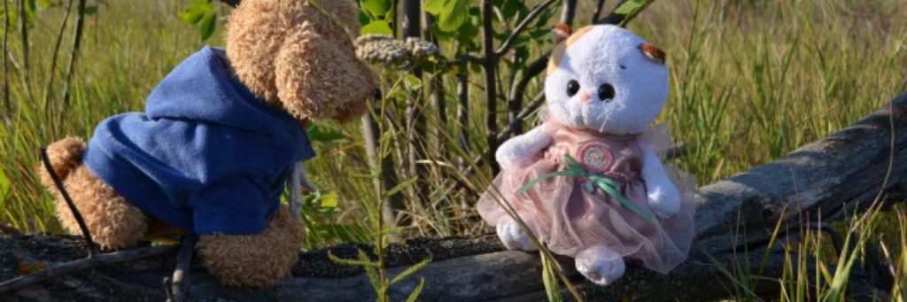 Прогулки Басика 🐱🐱🐱