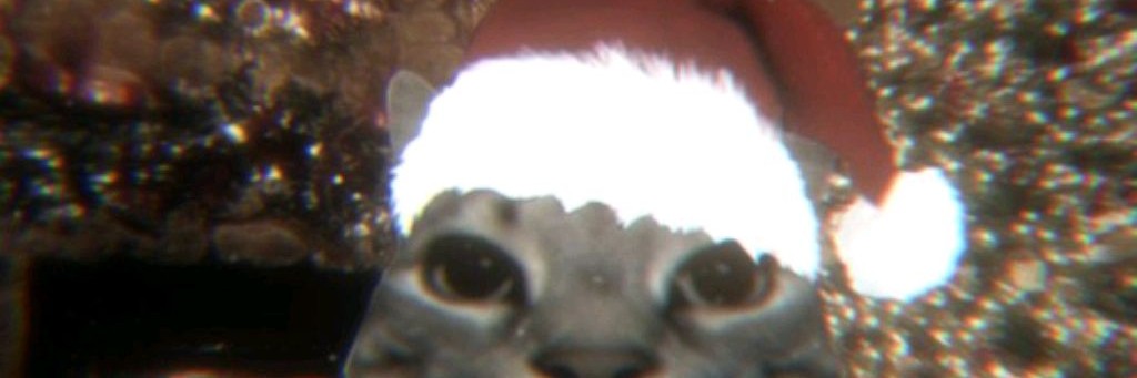 ☆~☃️🌨️розовая _  Брусника ~⛄🌨️☆