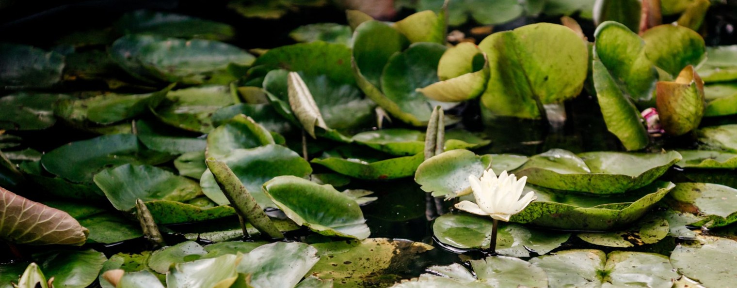 Дарья Выжанова