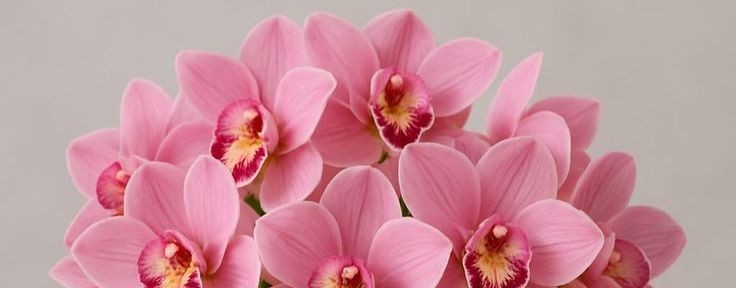 Вдохновение для дома 💐