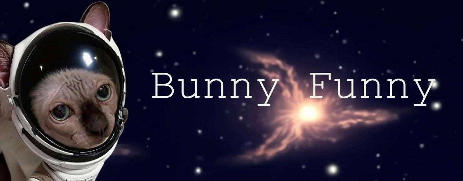 Bunny Funny