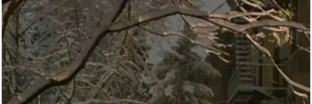 ☕Ксения Грозная☕