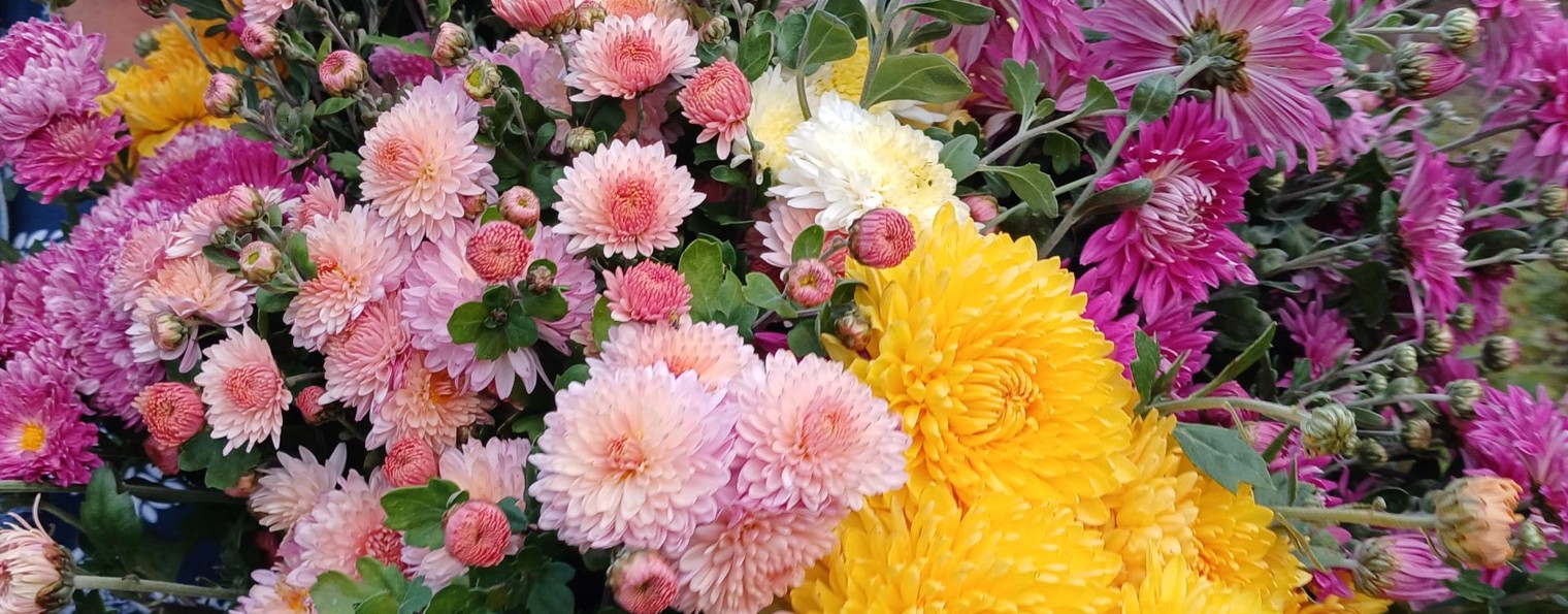 Ленивая дачница Красноярск🌸