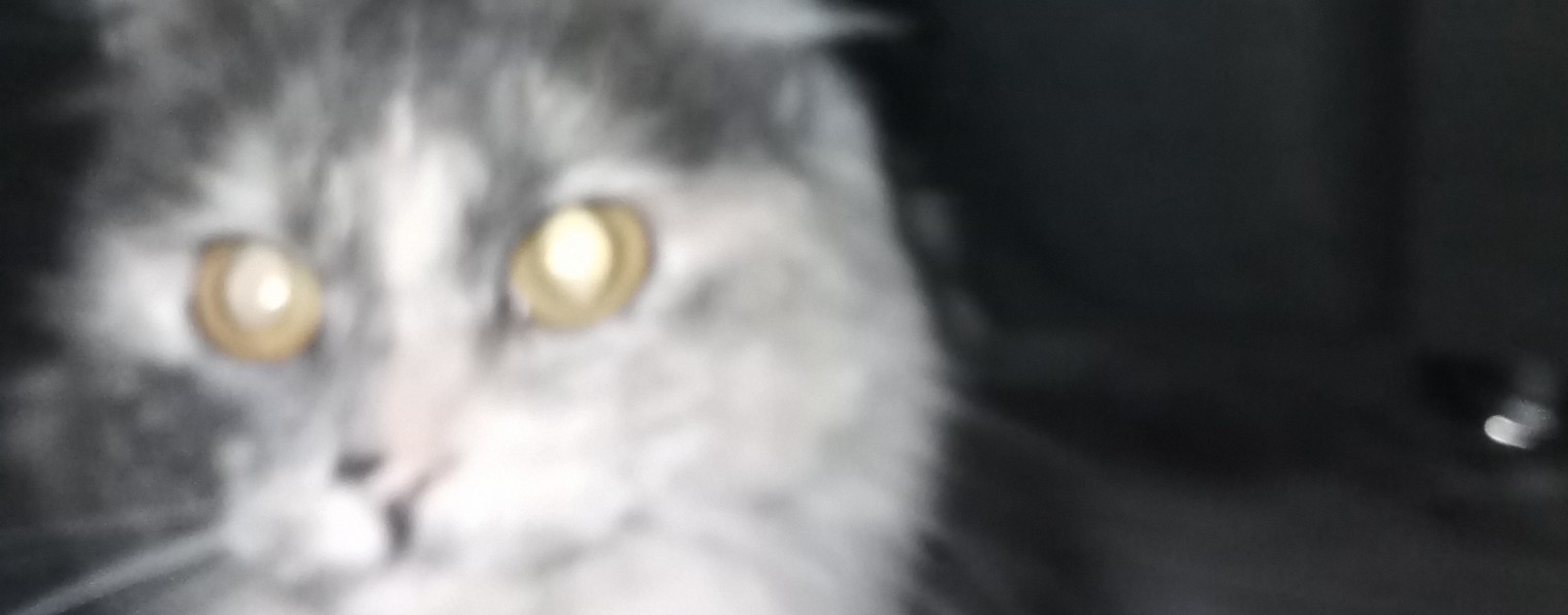 Сашка и данька крутые братья